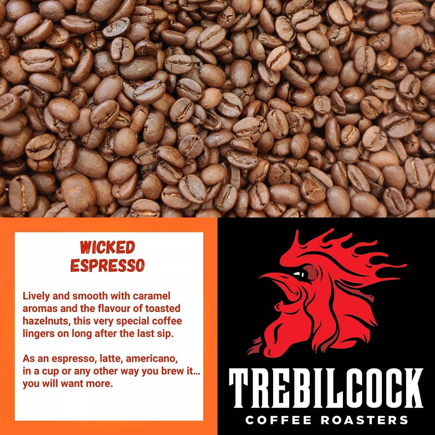 Espresso Mixed Drink | Toe Beans Cat Cafe - Eat, Drink, Adopt, Repeat