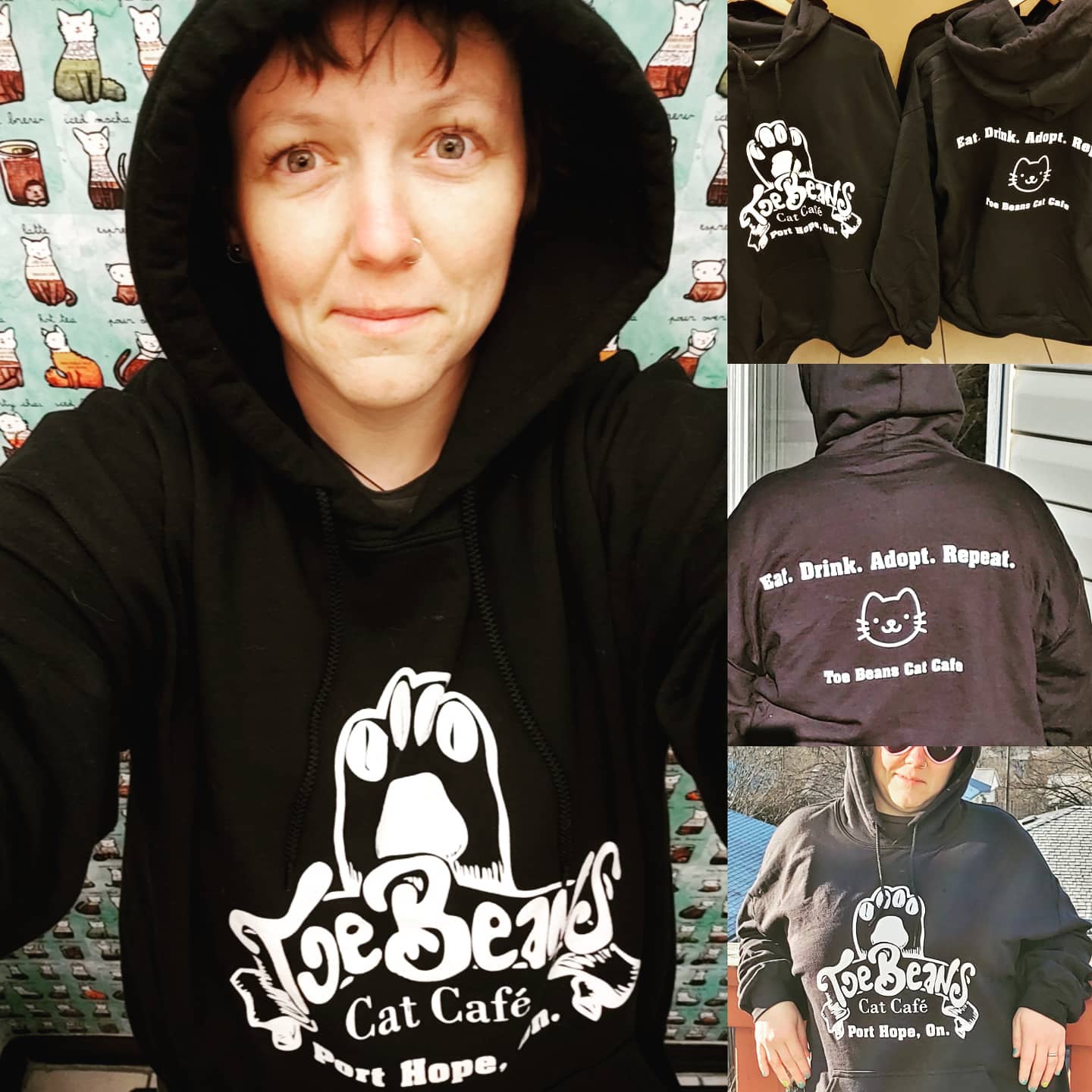 Visit our Cats!